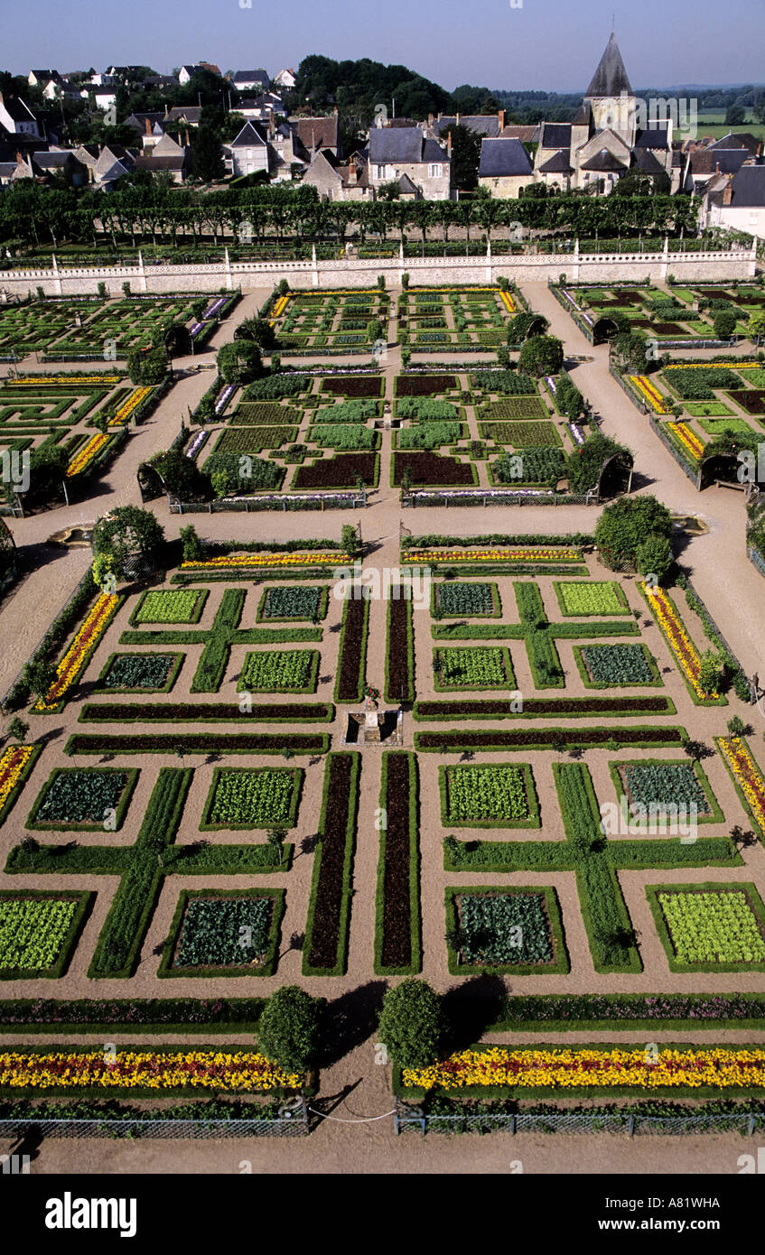 France, Indre et Loire, gardens of Vilandry castle (formal garden) in ...