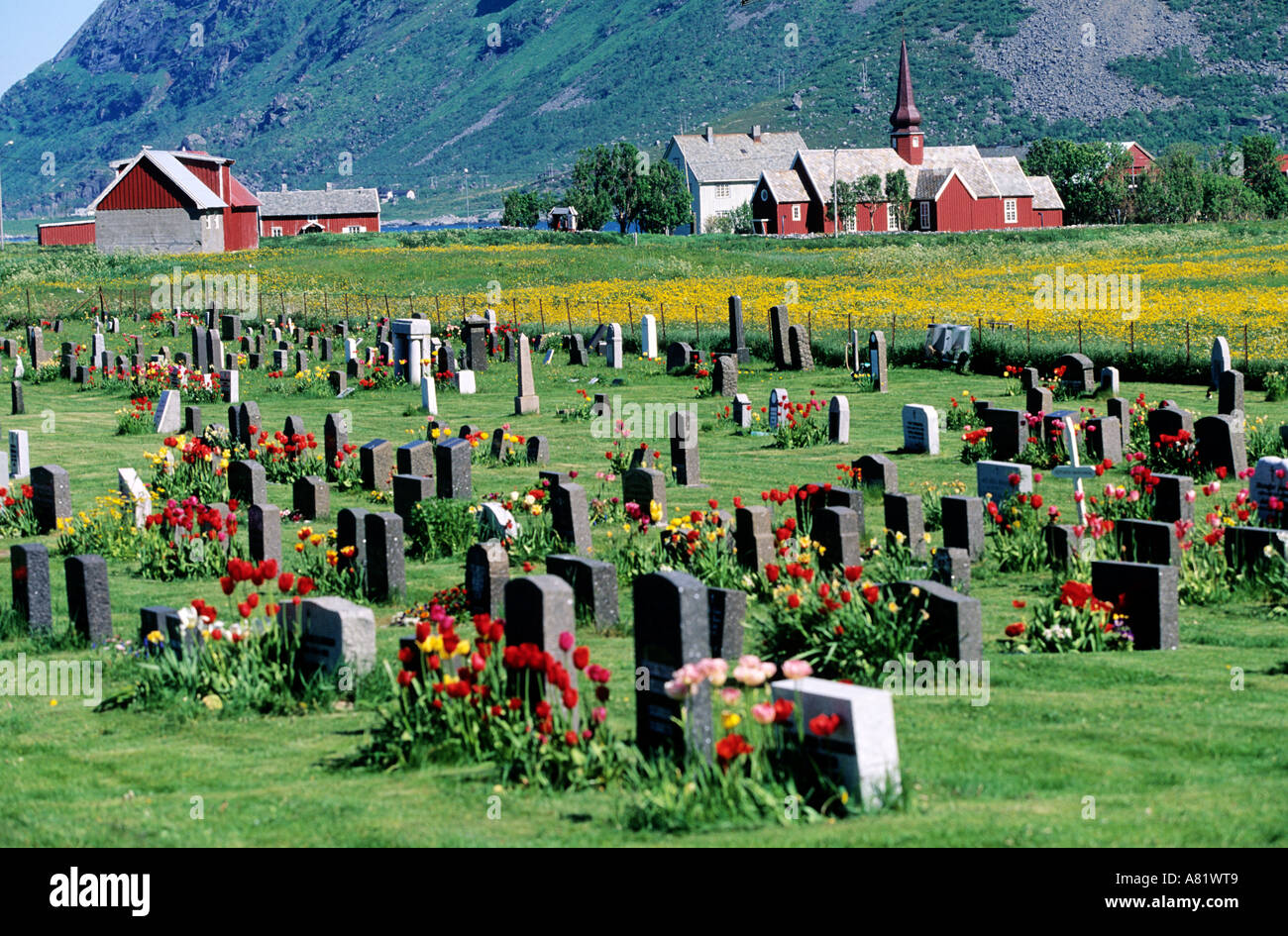 Norway, Lofoten Islands, Flakstad cemetery Stock Photo - Alamy