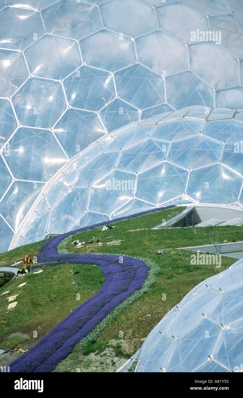 Biomes - Eden Project, Cornwall, ENGLAND Stock Photo - Alamy