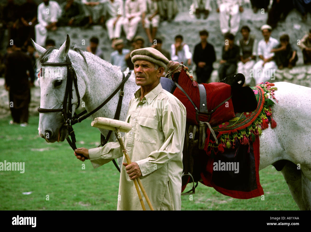 Pakistan Azad Kashmir Gilgit sport preparing pony before polo game ...