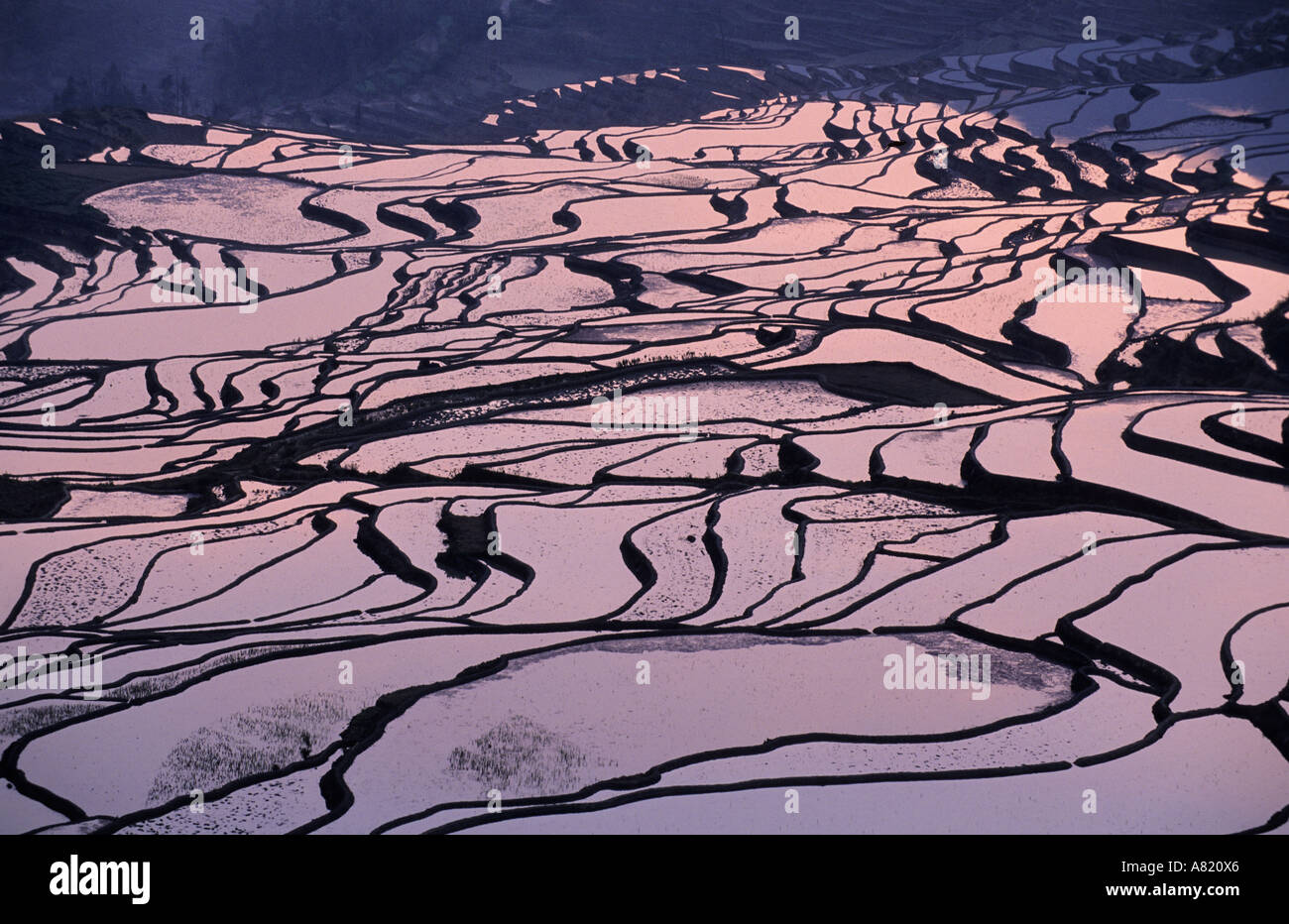 China, Yunnan province, Yuanyang, rice terraces Stock Photo - Alamy