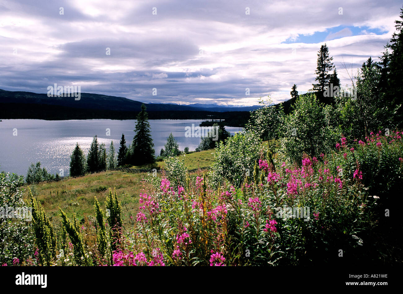 Vinstra and norway hi-res stock photography and images - Alamy
