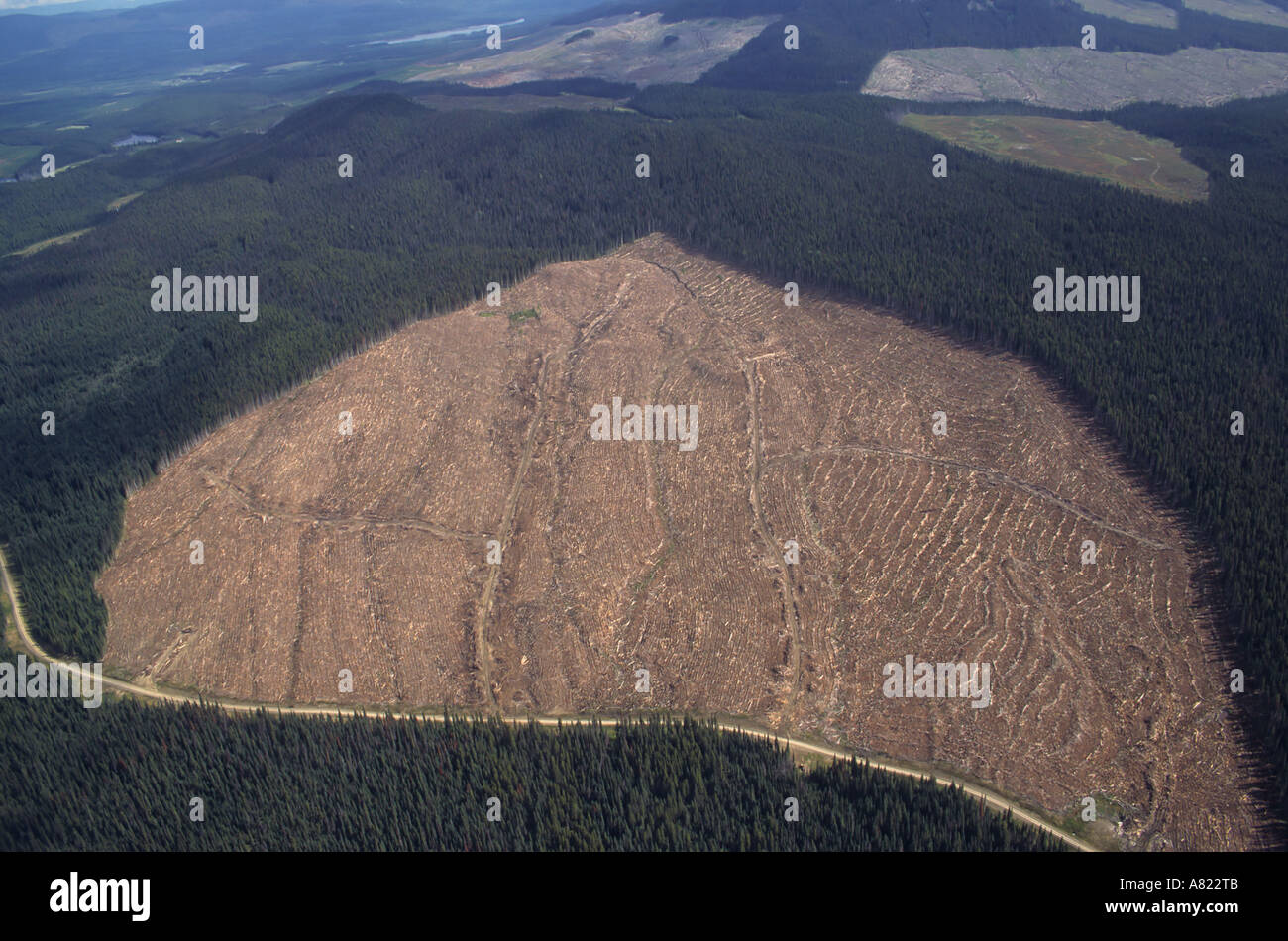 Clear cut logging from the air Ootsa Lake area British Columbia Stock ...