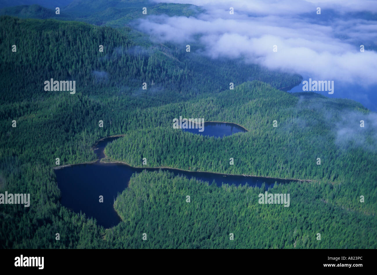 Knight inlet british columbia aerial hi-res stock photography and ...