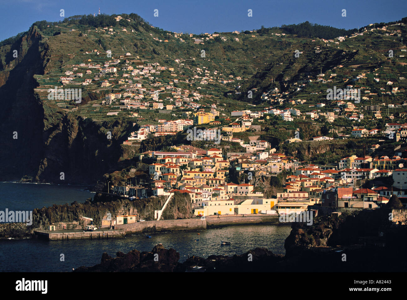 Lobos madeira portugal hi-res stock photography and images - Alamy