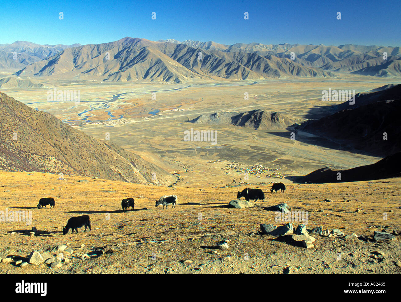 High Plateau in Tibet Stock Photo - Alamy