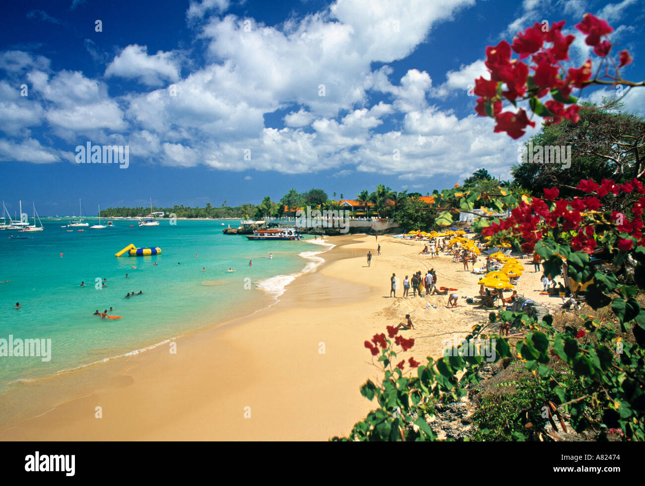 Store Bay, Tobago, Caribbean Stock Photo - Alamy