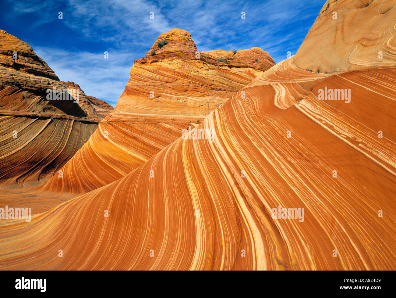 Paria Canyon Hi Res Stock Photography And Images Alamy