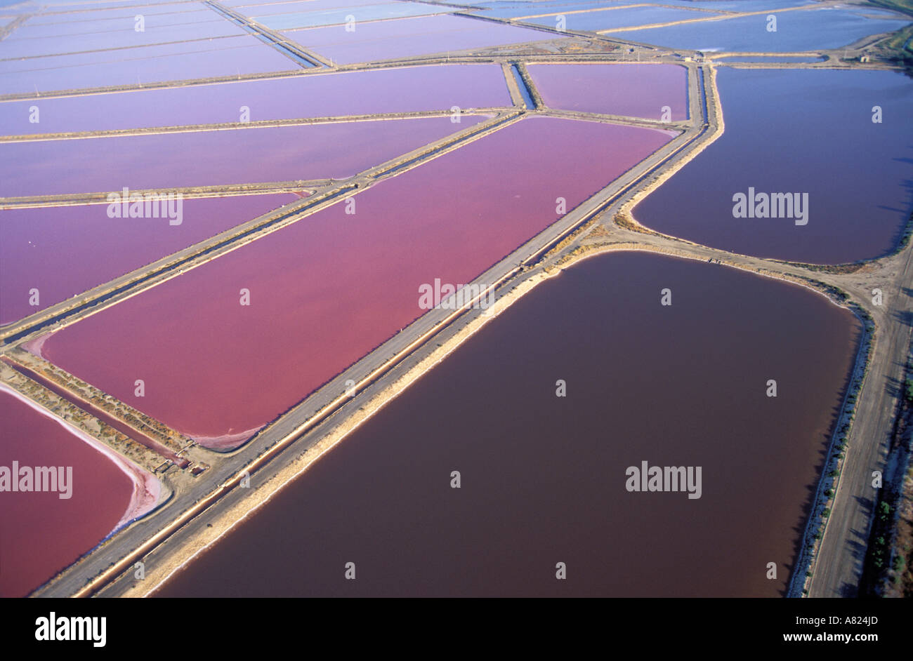 Petite camargue area hi-res stock photography and images - Alamy