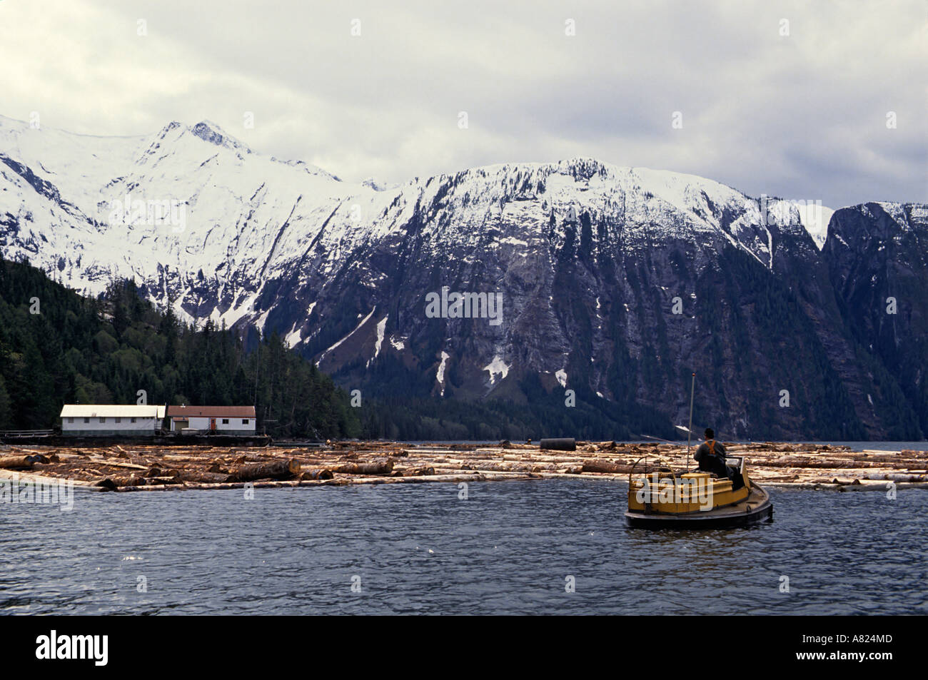 Logging camp canada hi-res stock photography and images - Alamy