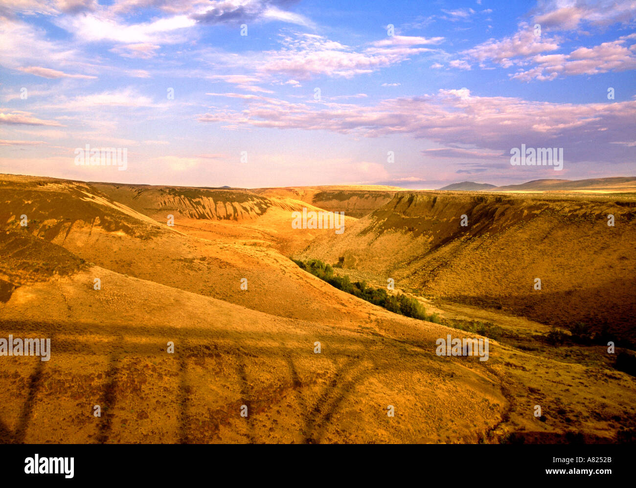Yakima valley, Washington State, USA Stock Photo - Alamy
