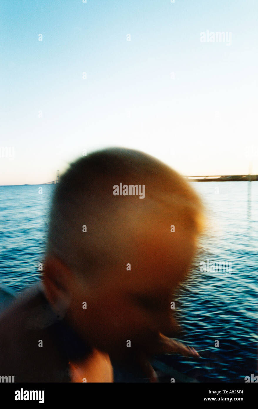 Fuzzy head at the sea Stock Photo - Alamy