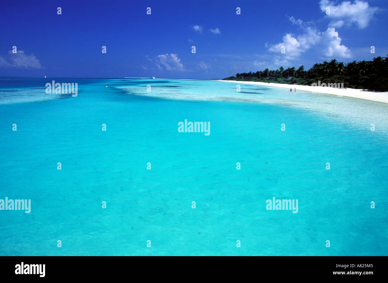 Maldives, Meemu atoll, the most beautiful beach in Medhufushi island ...