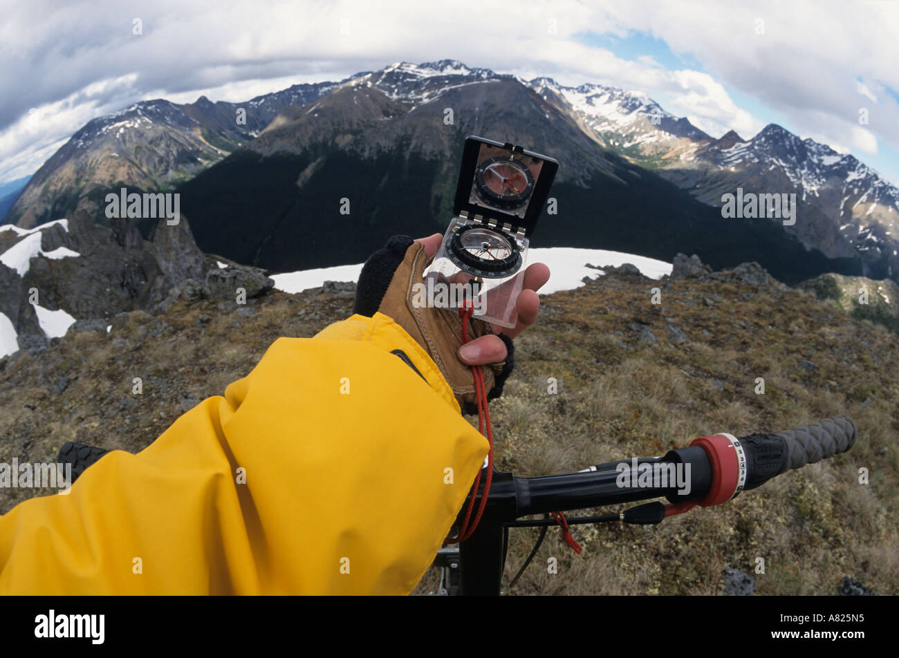 Mountain biker using compass Babine Mountains Provincial Park British ...