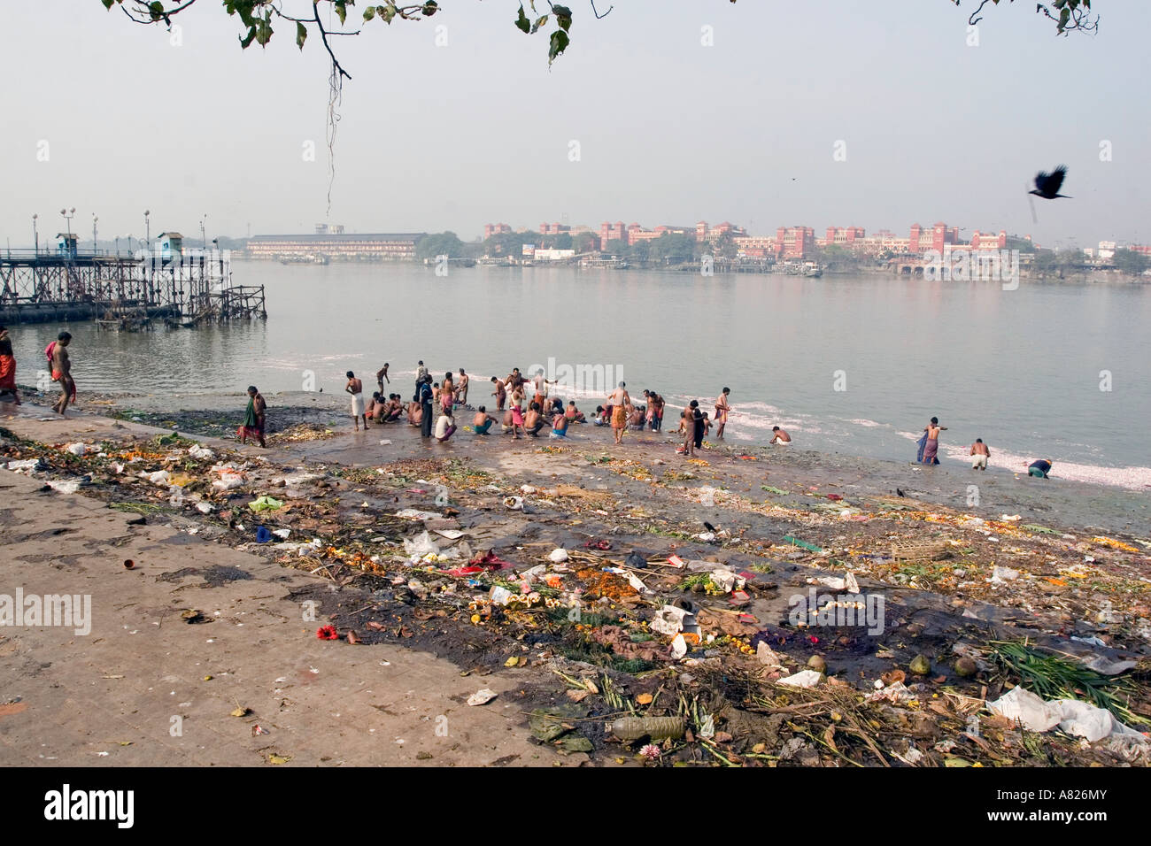 North India Calcutta Local Caption The Banks of The Hooghly River City ...