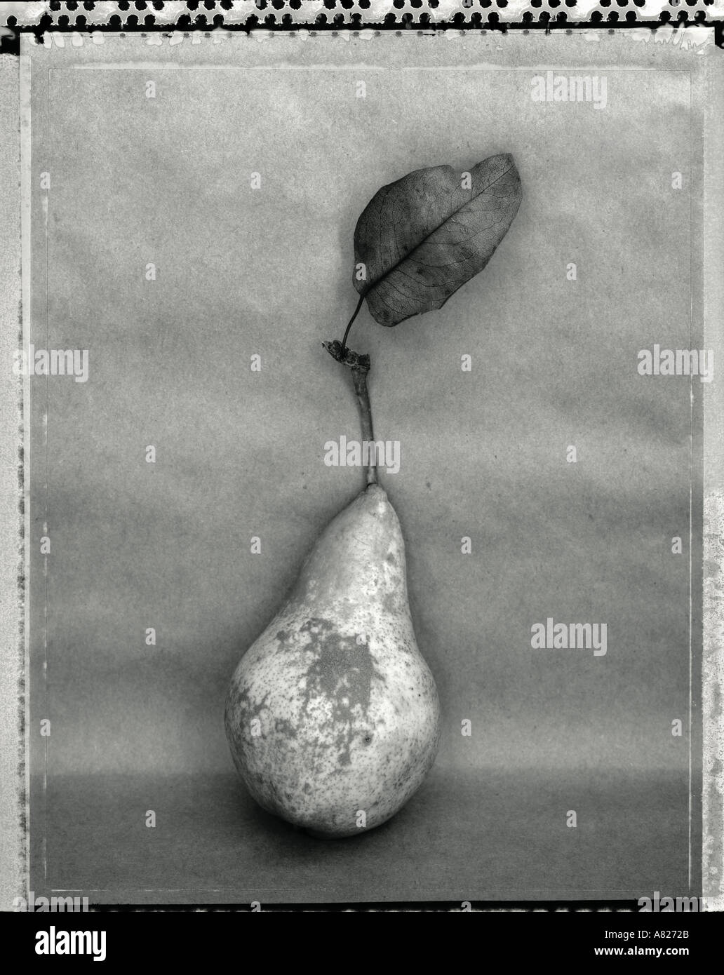 Still life with pear art hi-res stock photography and images - Alamy
