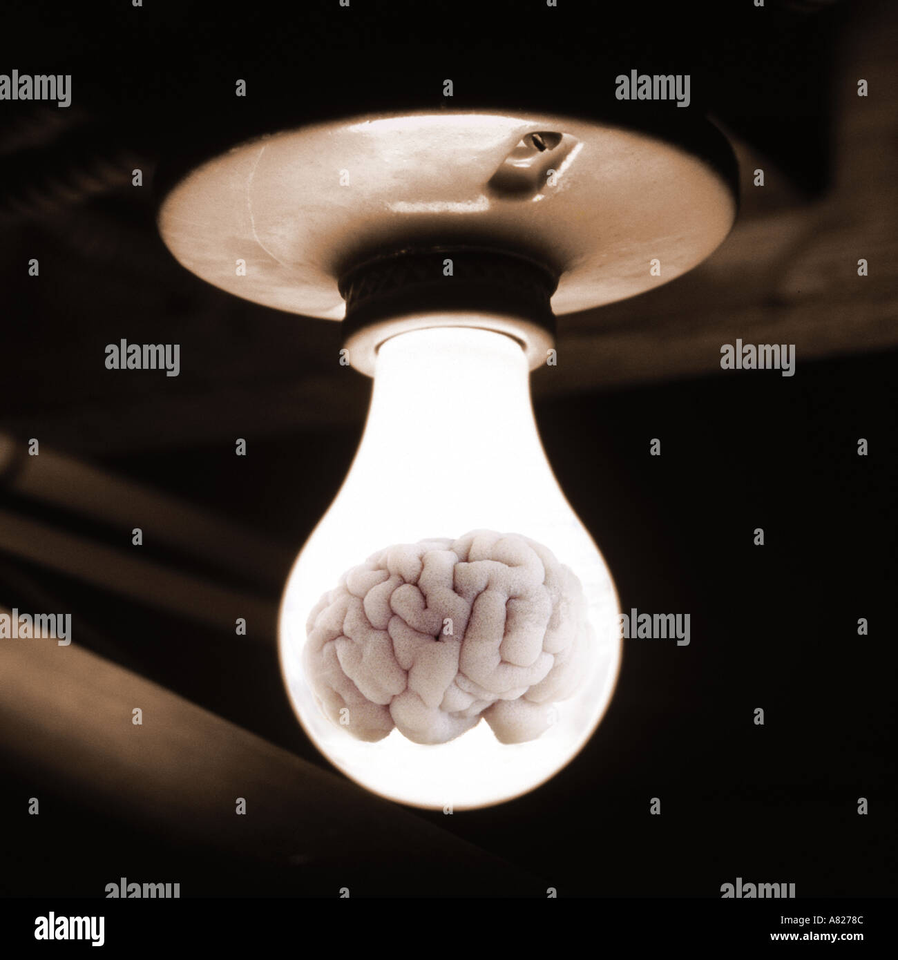 brain in bulb Stock Photo - Alamy