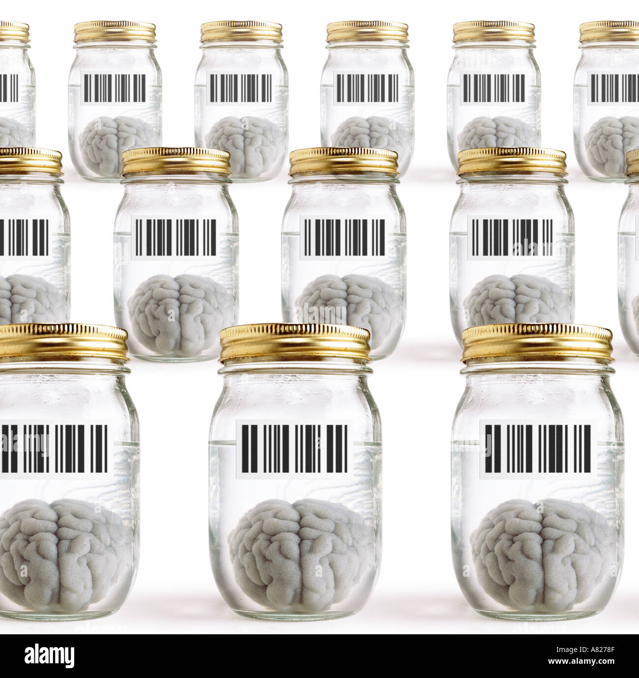 Human brains jars hi-res stock photography and images - Alamy