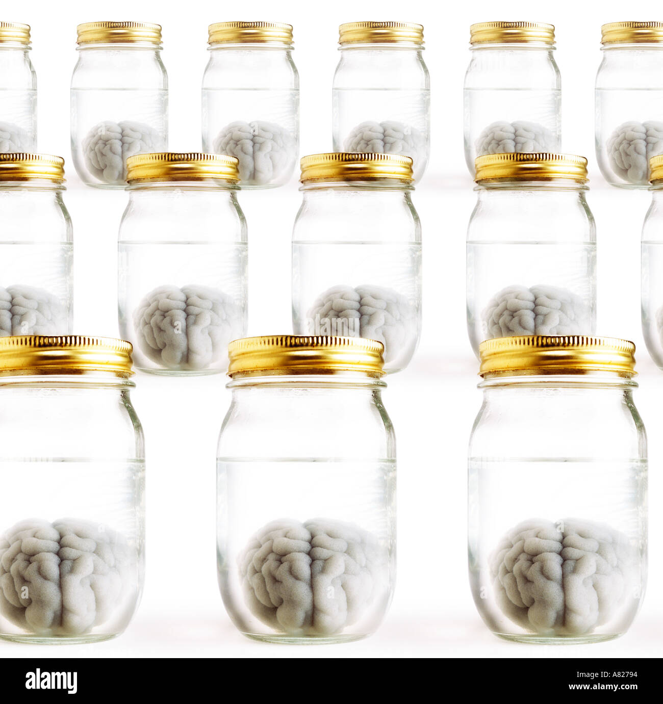 Human brains jars hi-res stock photography and images - Alamy