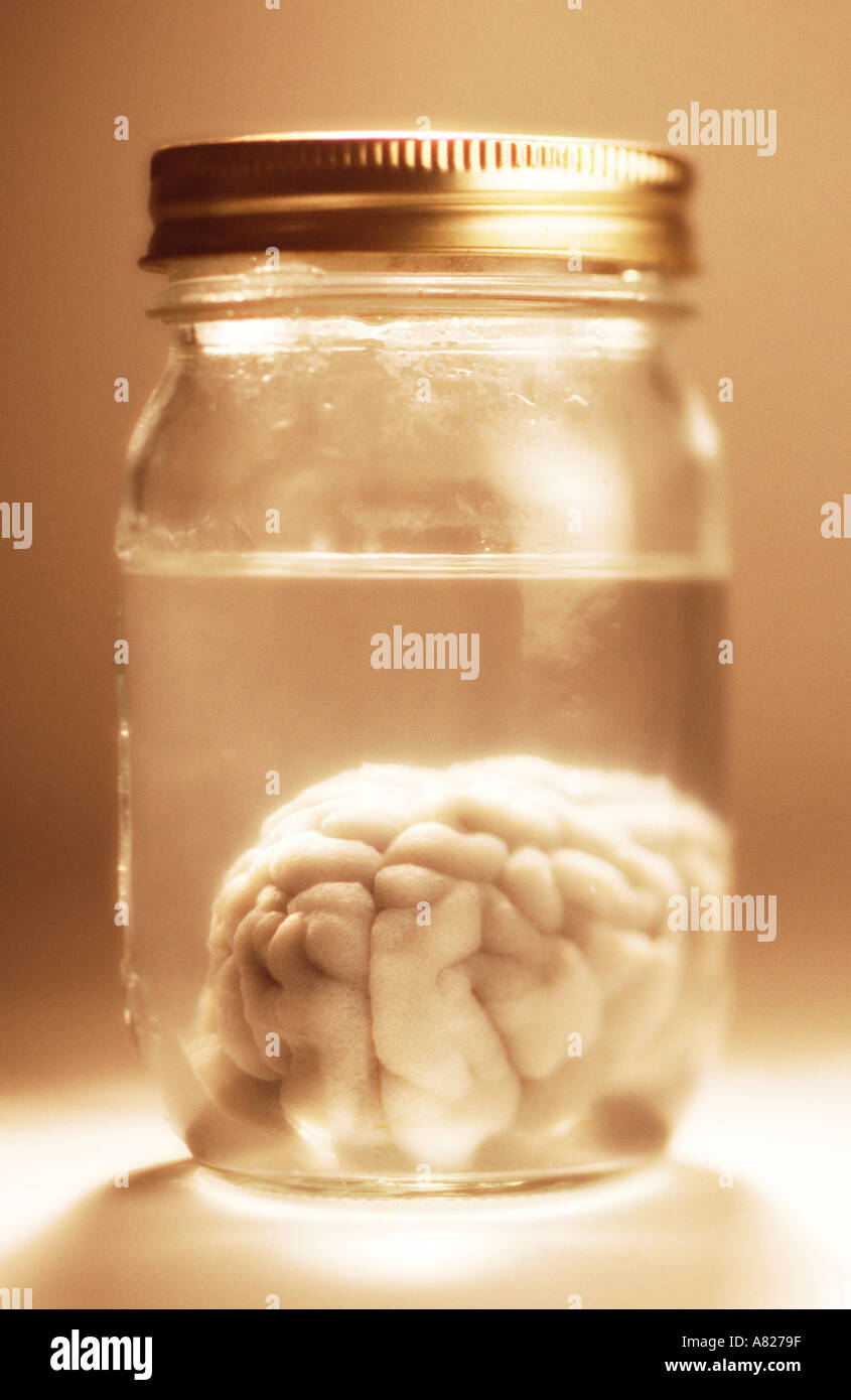 Brain in jar hi-res stock photography and images - Alamy