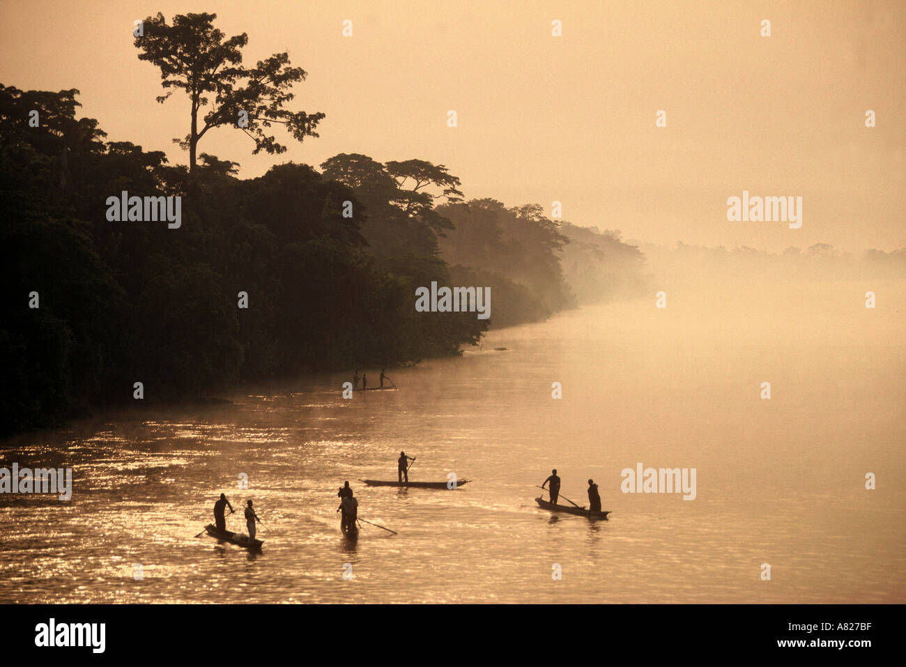 Pirogues dugouts on Congo Zaire River DR Congo ex Zaire Central Africa ...