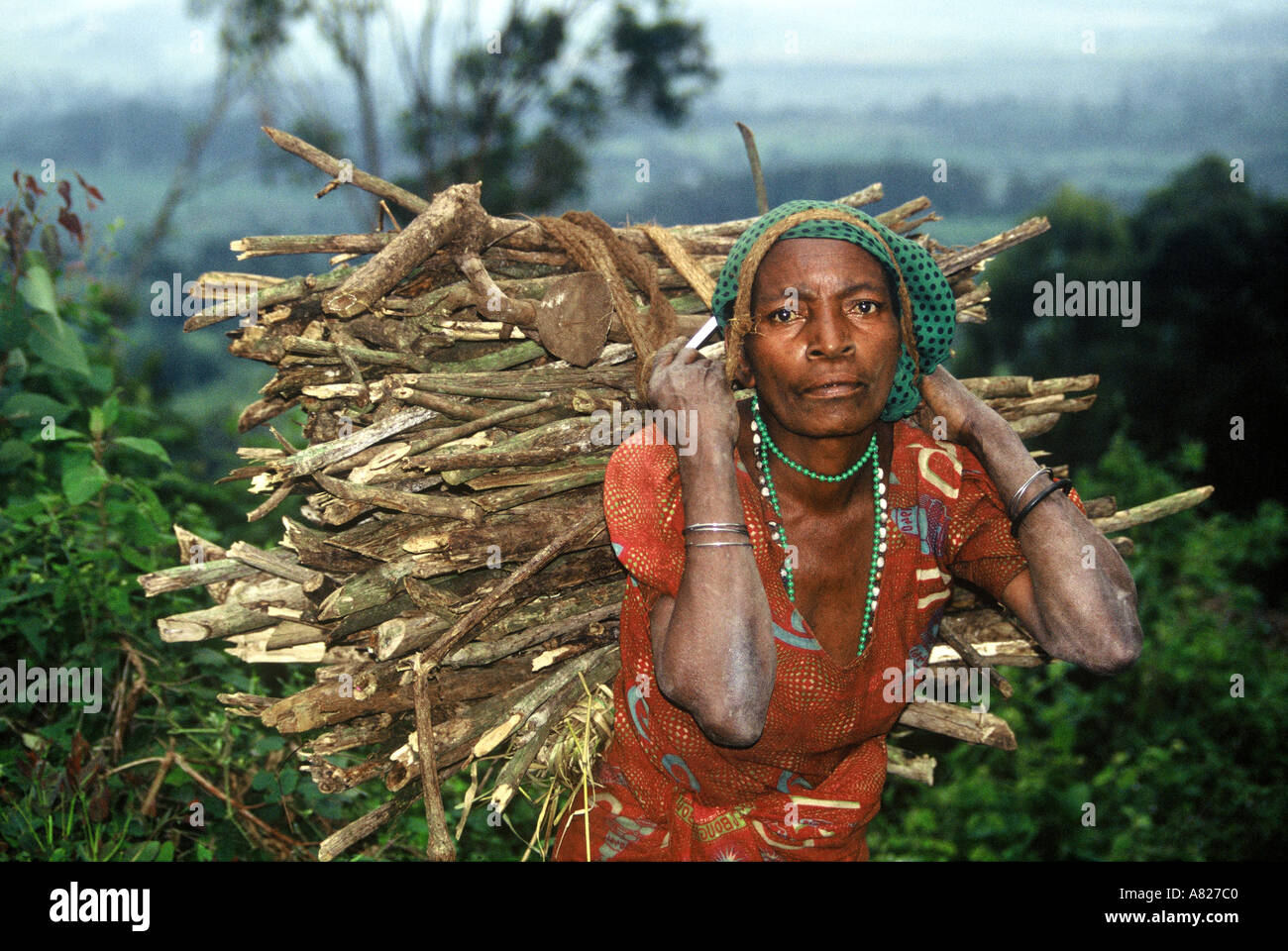 Zaire pygmy woman hi-res stock photography and images - Alamy