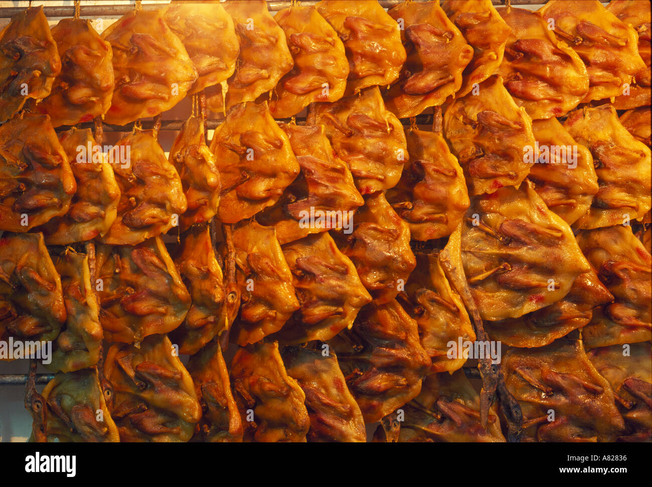 Duck pat hi-res stock photography and images - Alamy