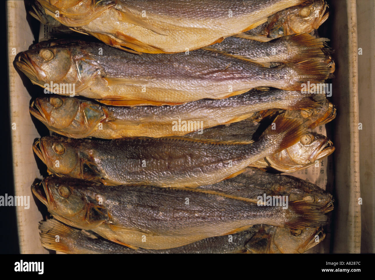 salty fish displayed in carton hong kong china concept conceptual ...