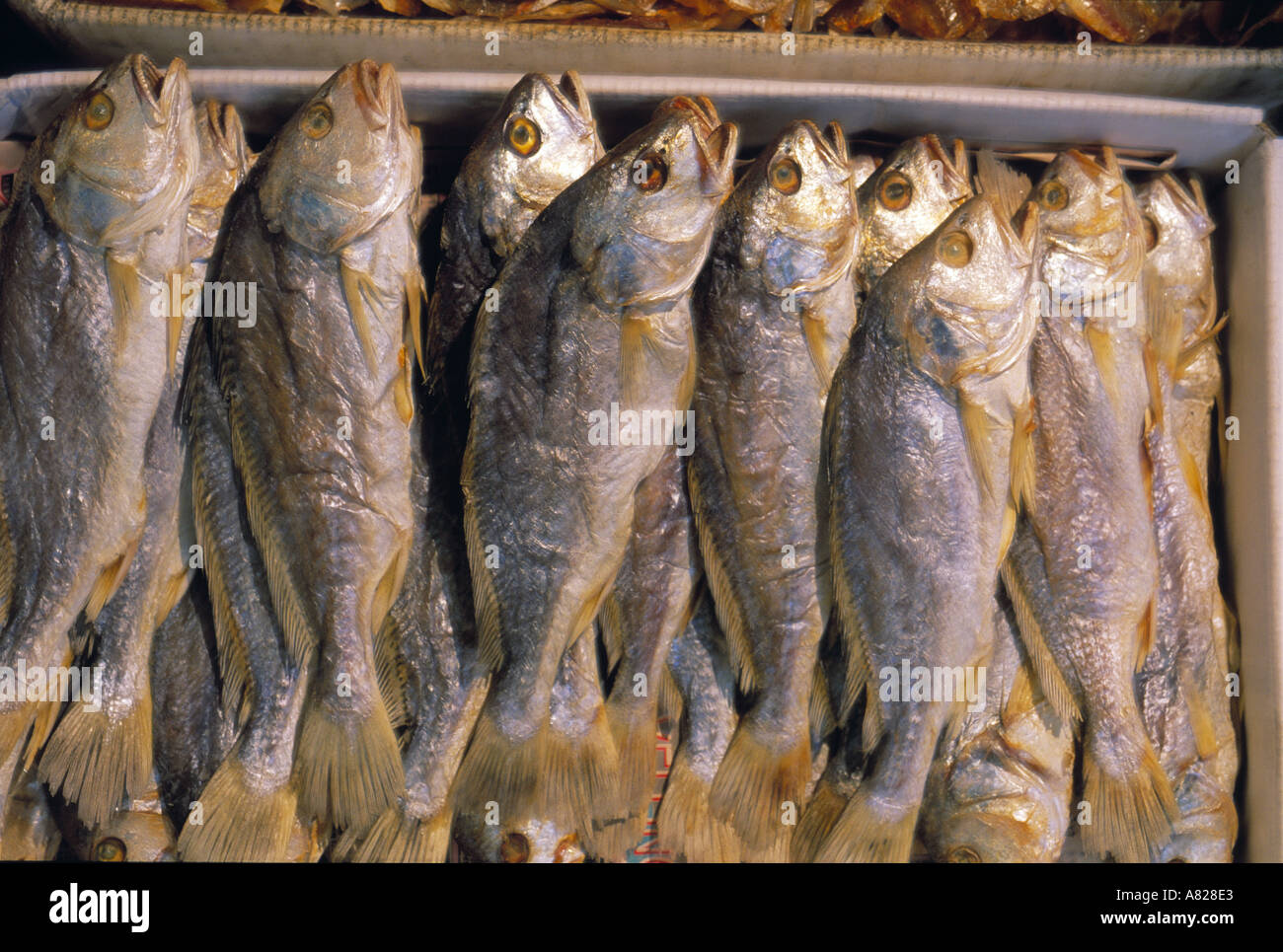 salty fish displayed in carton hong kong china concept conceptual ...