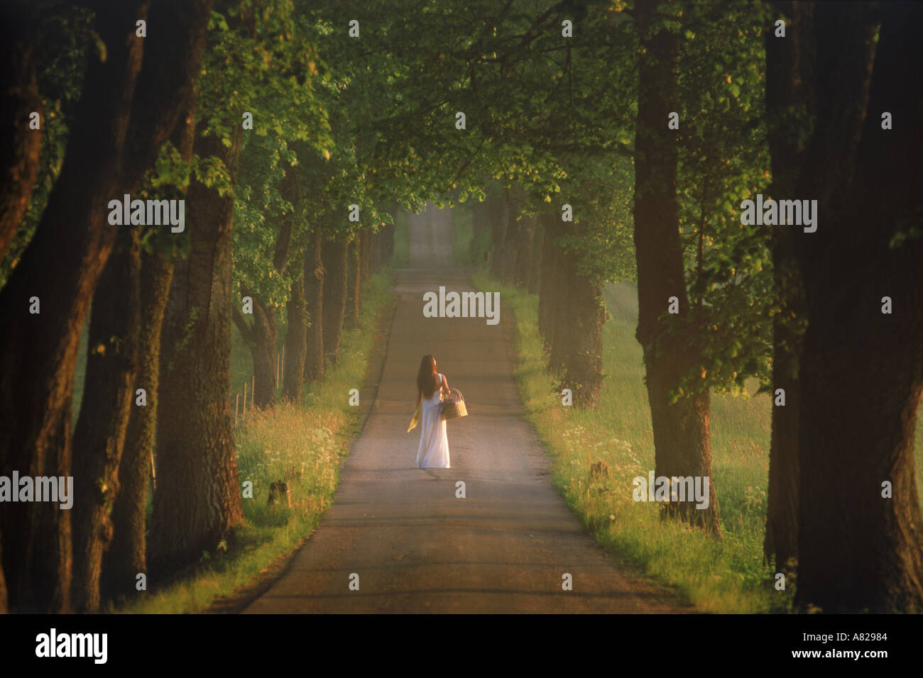 Enlighten pathway hi-res stock photography and images - Alamy