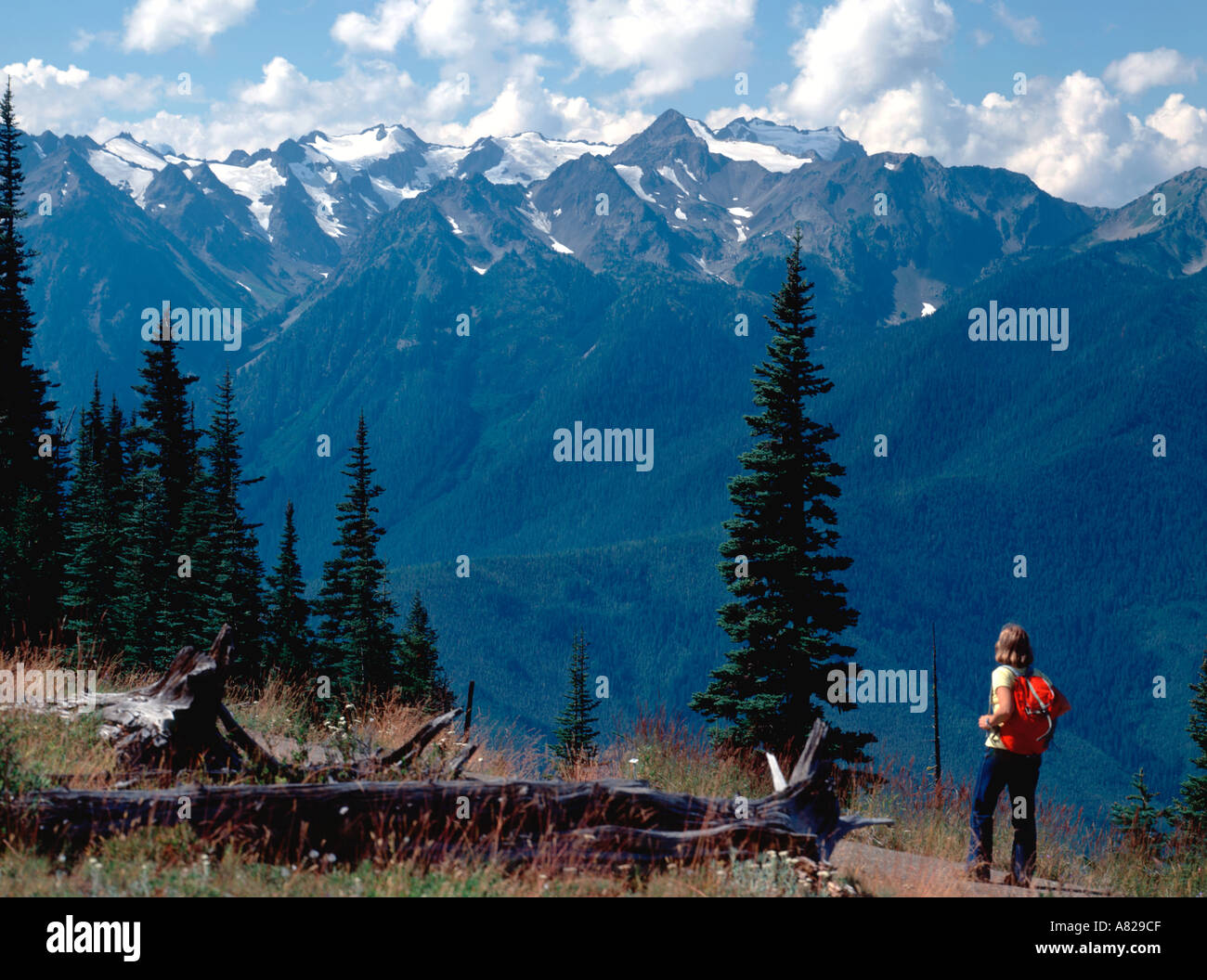 Hurricane ridge viewpoint hi-res stock photography and images - Alamy