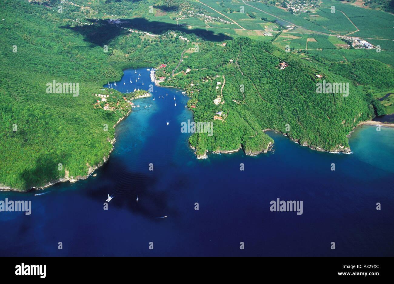 Saint Lucia, Marigot Bay (aerial view Stock Photo - Alamy