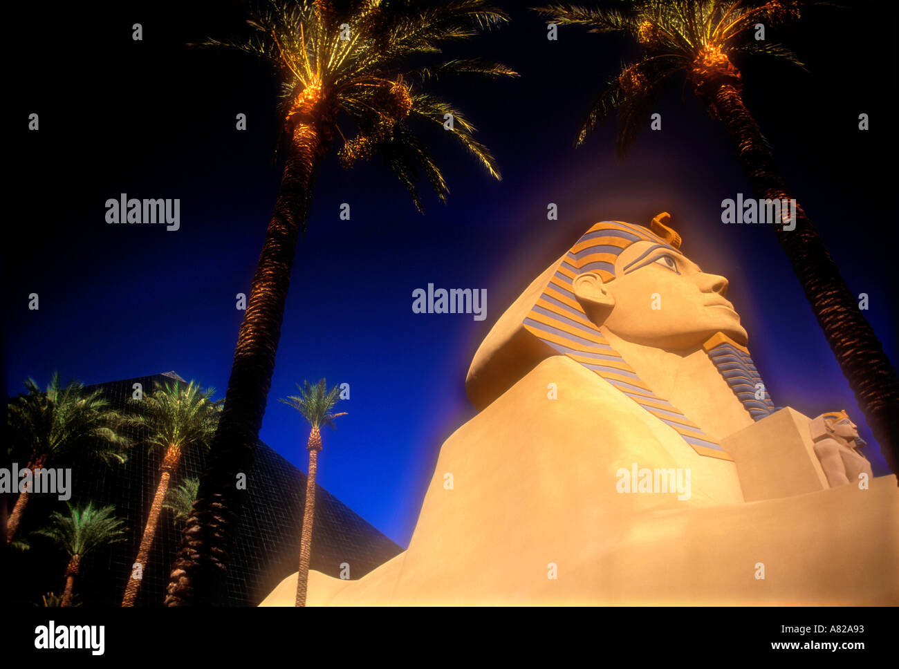 Las vegas luxor pyramid palm trees hi-res stock photography and images ...