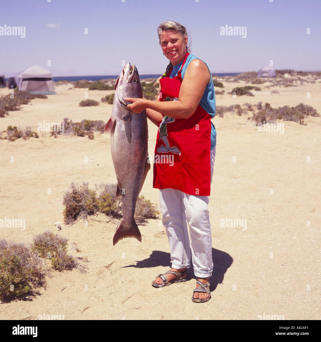 Woman chef in red apron at campsite with freshly big fish caught ...