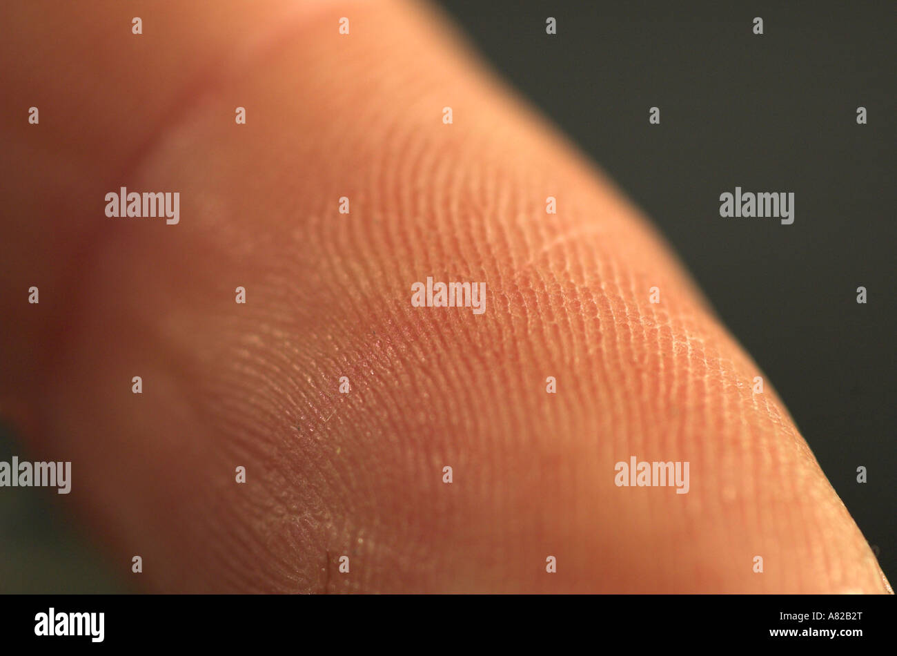 Fingerprint ridges close up Stock Photo - Alamy