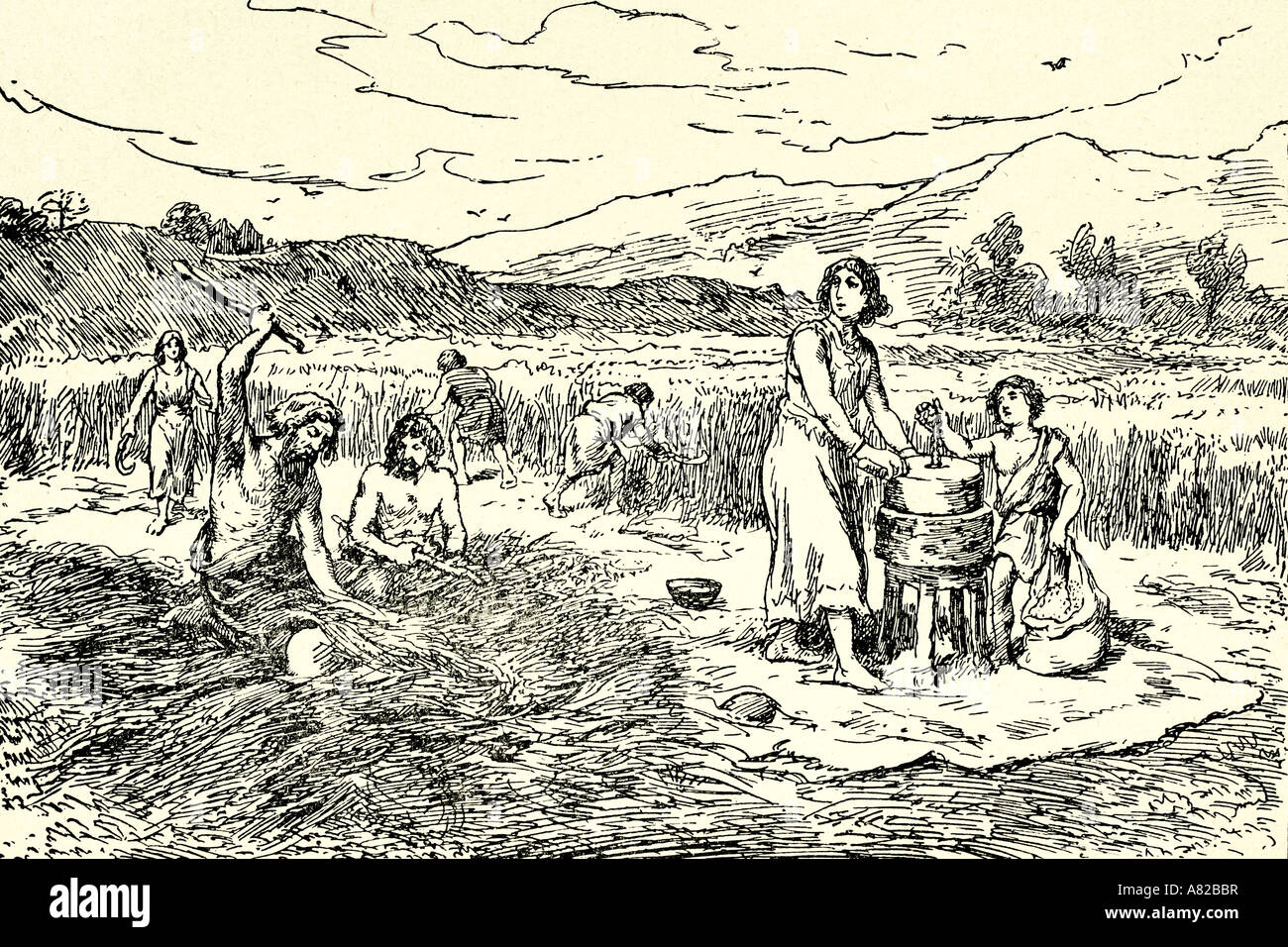Agriculture in prehistory hi-res stock photography and images - Alamy