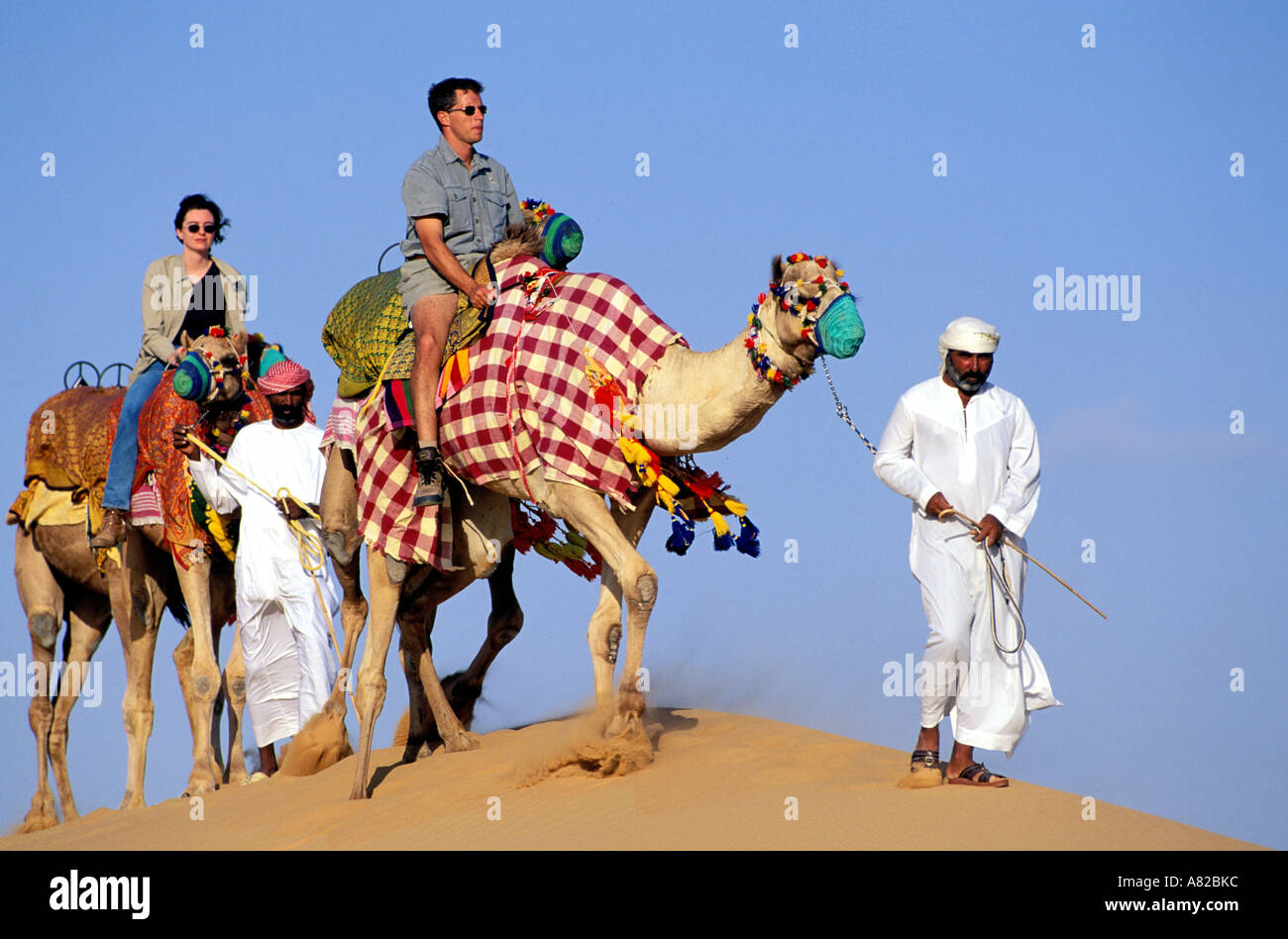 Dubai, United Arab Emirates, riding on camel, from Al Maha, in the ...