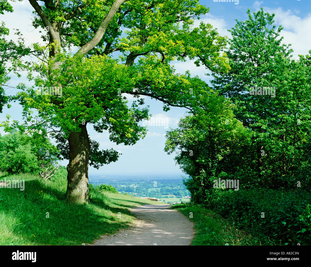Box hill view point hi-res stock photography and images - Alamy