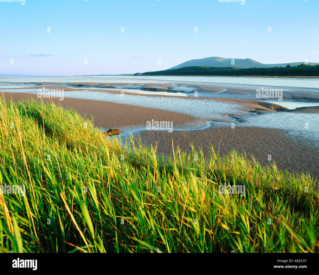 GB SCOTLAND DUMFRIES AND GALLOWAY THE NITH ESTUARY Stock Photo - Alamy