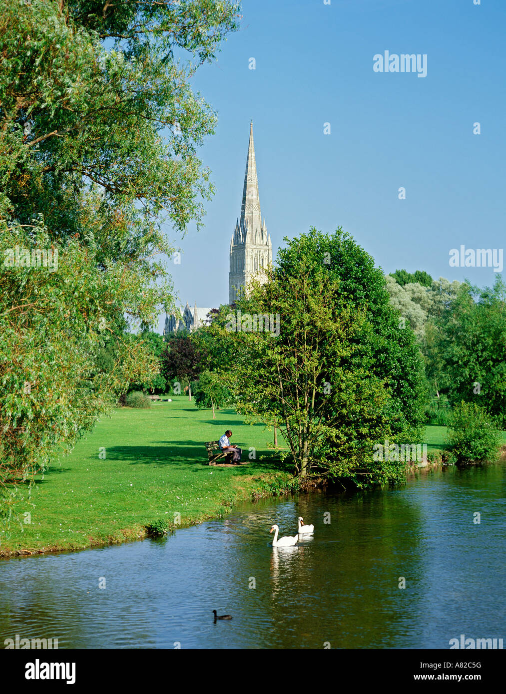 GB WILTSHIRE SALISBURY CATHEDRAL RIVER NADDER Stock Photo - Alamy