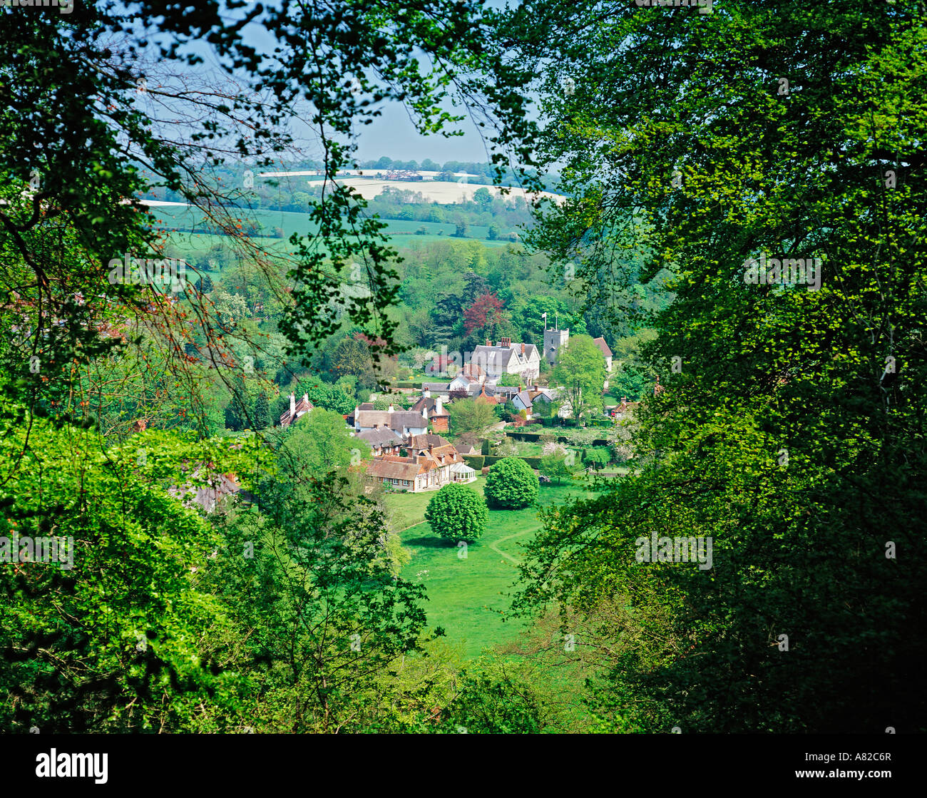 Selborne hanger hi-res stock photography and images - Alamy
