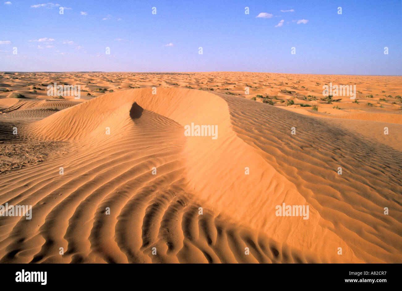 Ksar ghilane hi-res stock photography and images - Alamy