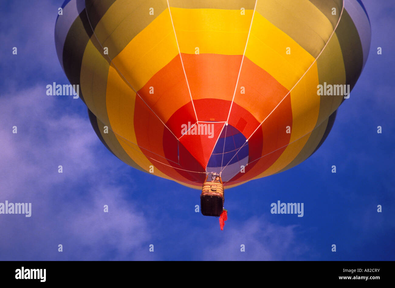 Hot air balloon rising in morning light at the International Balloon ...