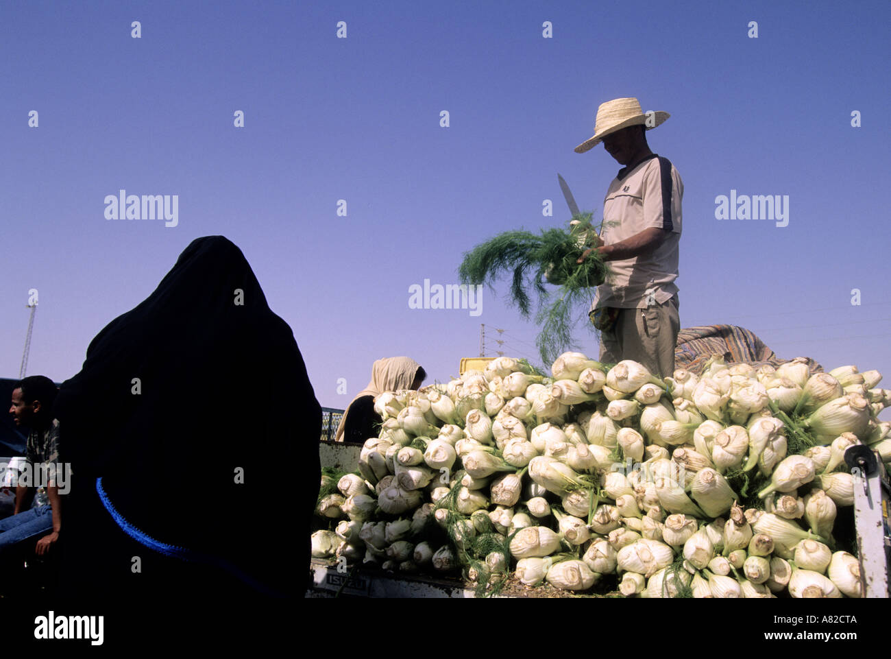 Market of tozeur hi-res stock photography and images - Alamy