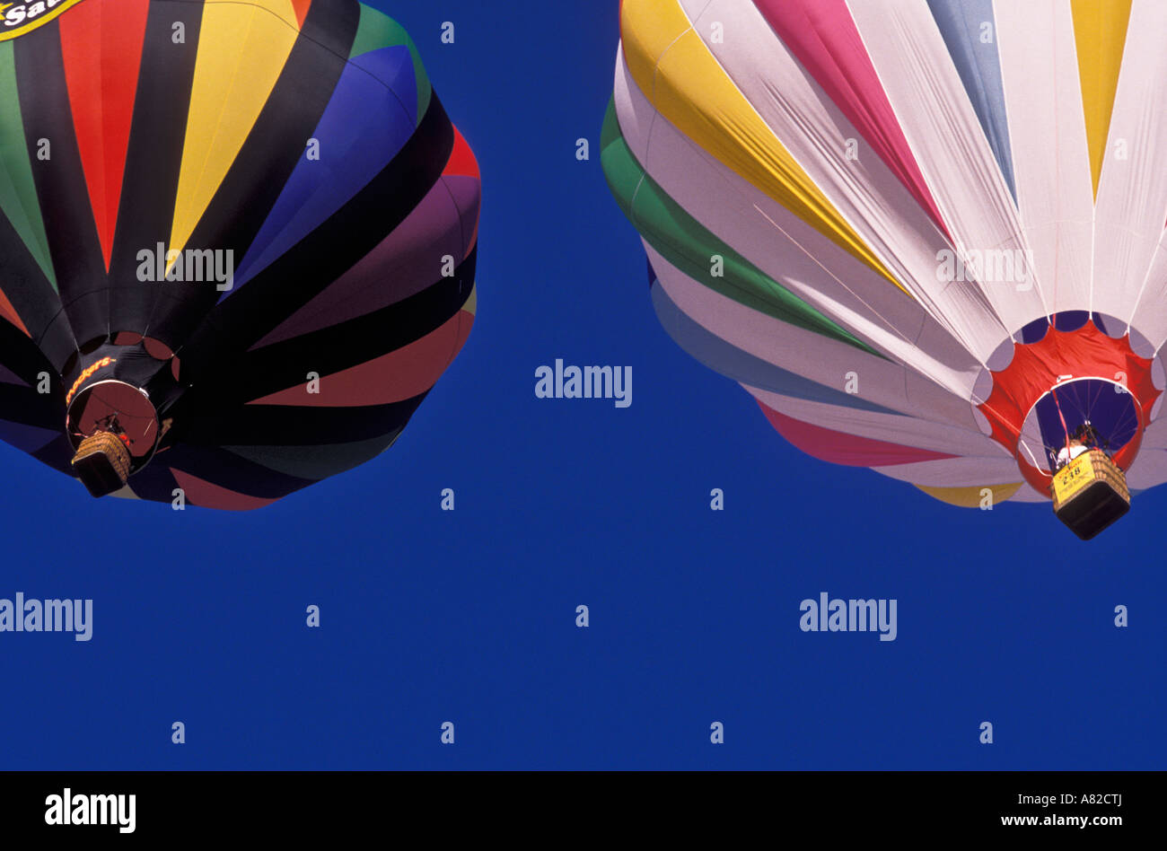 Hot air balloons rising in dawn light at the International Balloon ...