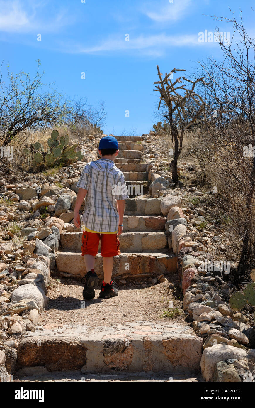 Young boy walking up steps Stock Photo - Alamy