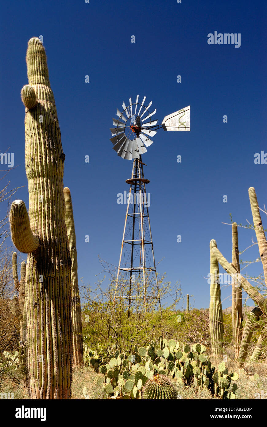 Windmill on ranch in southern Arizona Stock Photo - Alamy