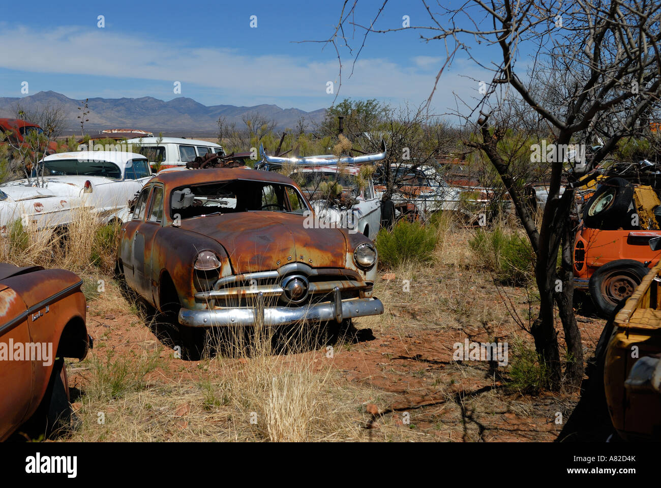 Old cars rusting away hi-res stock photography and images - Alamy