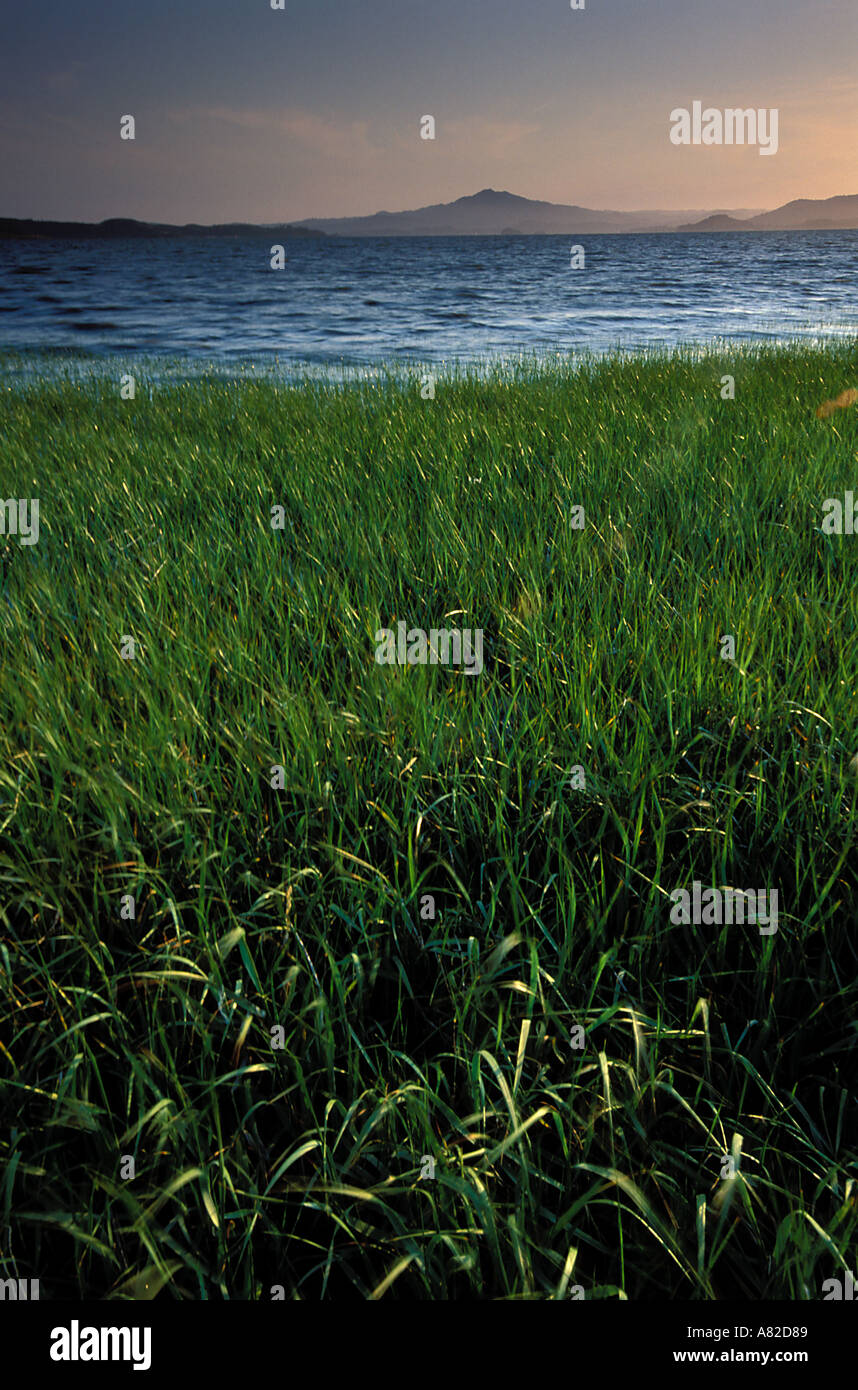 California, East Bay Parks, San Pablo Bay shoreline, Point Pinole ...
