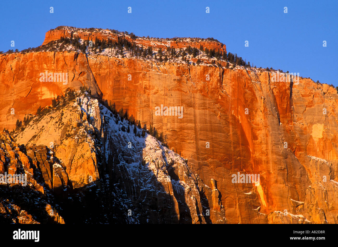 The west temple of zion hi-res stock photography and images - Alamy